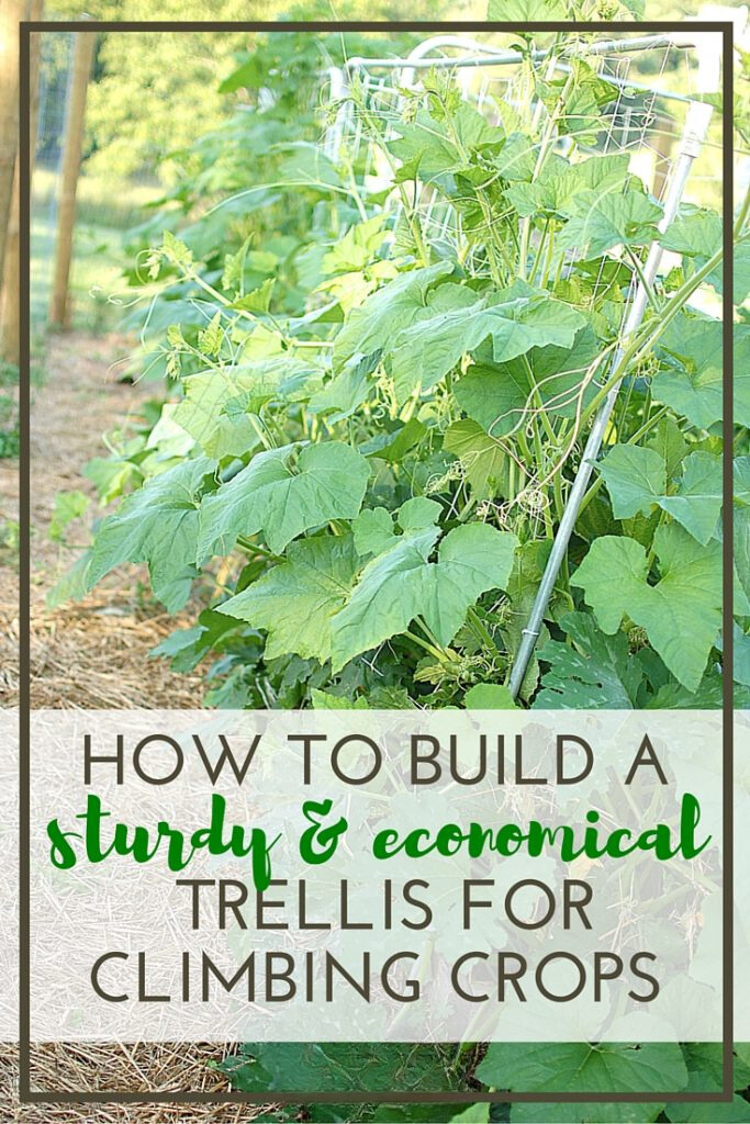 Square Foot Gardening: How to Construct Sturdy, Economical Trellises ...