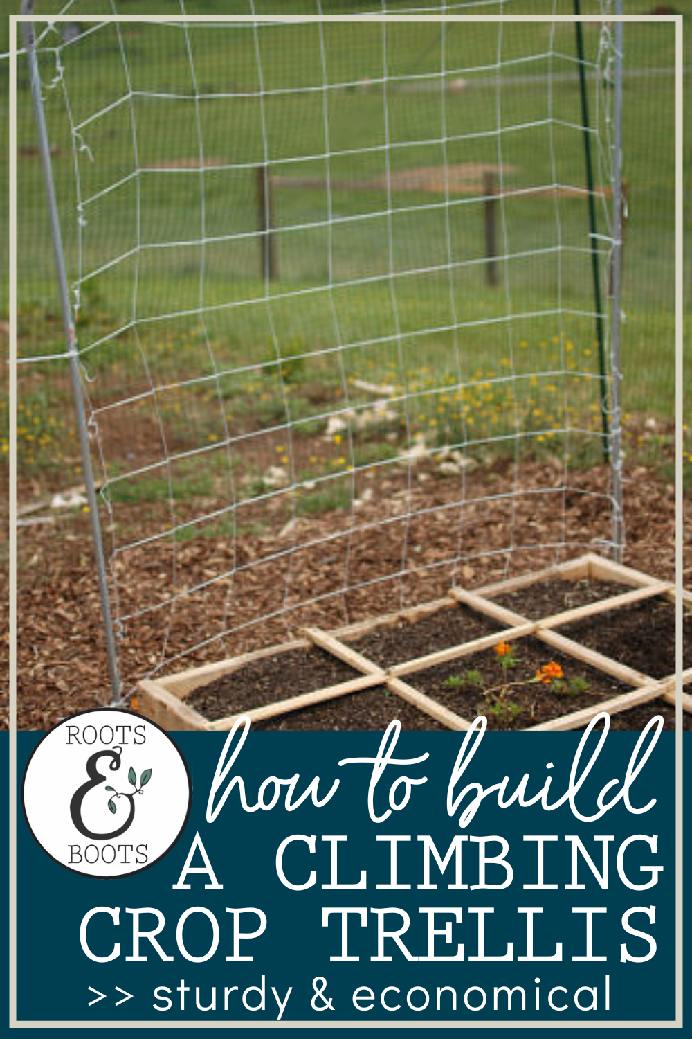 Roots - Pinterest - HOW TO BUILD A TRELLIS FOR CLIMBING CROPS - Square foot gardening ...