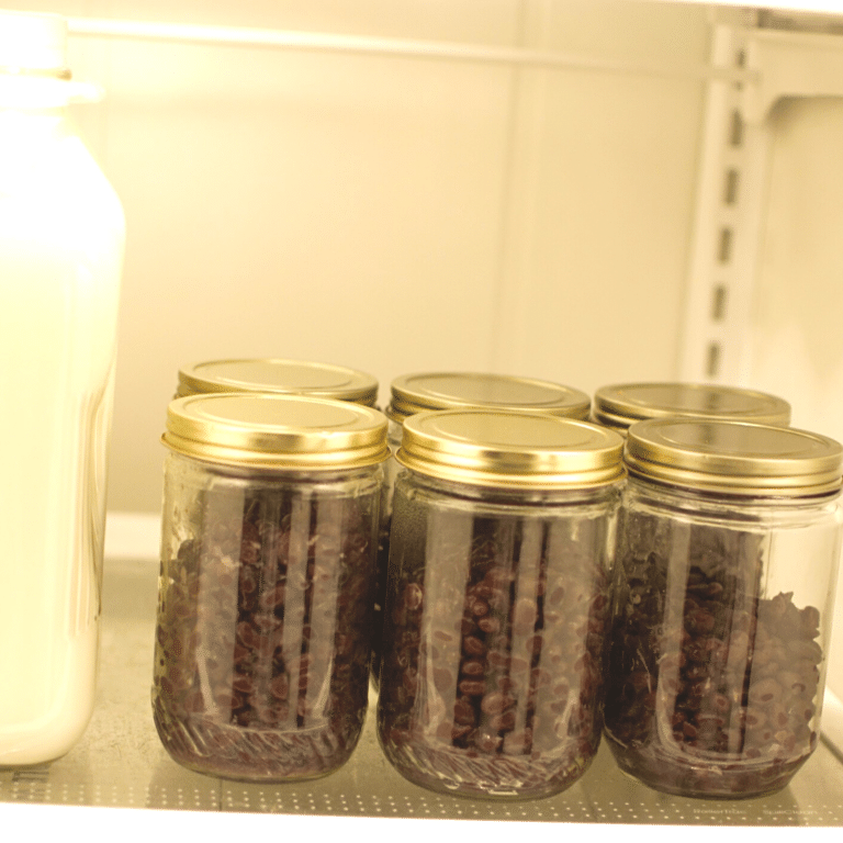 How to Freeze Food in Glass Jars - Roots & Boots