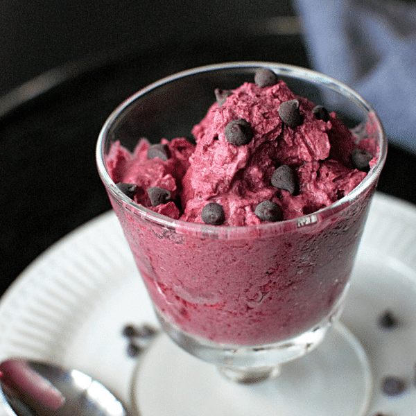 Mixed Berry Coconut Milk Ice Cream - Roots & Boots
