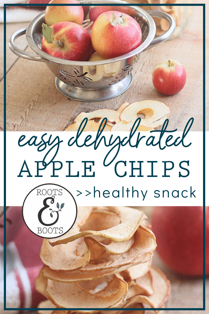Homemade Apple Chips Pinterest 2 - Roots & Boots