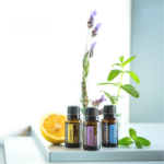 Spring Survival Roller Blend - Roots & Boots