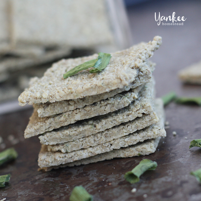 Onion Nut Dehydrator Crackers | Yankee Homestead - Roots & Boots