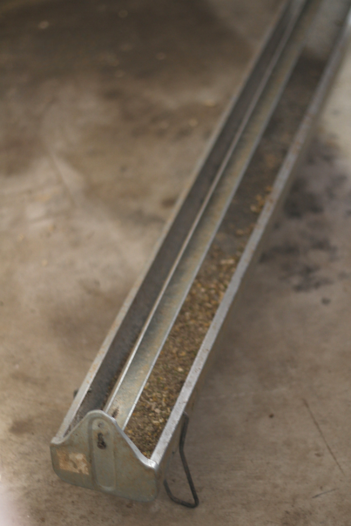 How to Raise Pastured Poultry, Part 1: DIY Brooder Pen - Roots & Boots