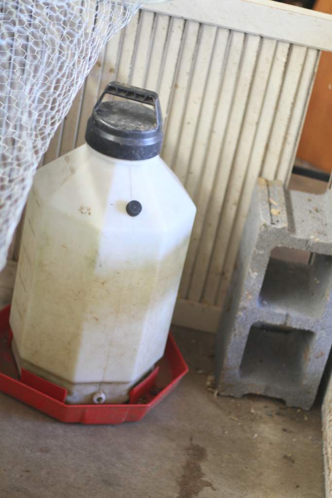 How to Raise Pastured Poultry, Part 1: DIY Brooder Pen - Roots & Boots