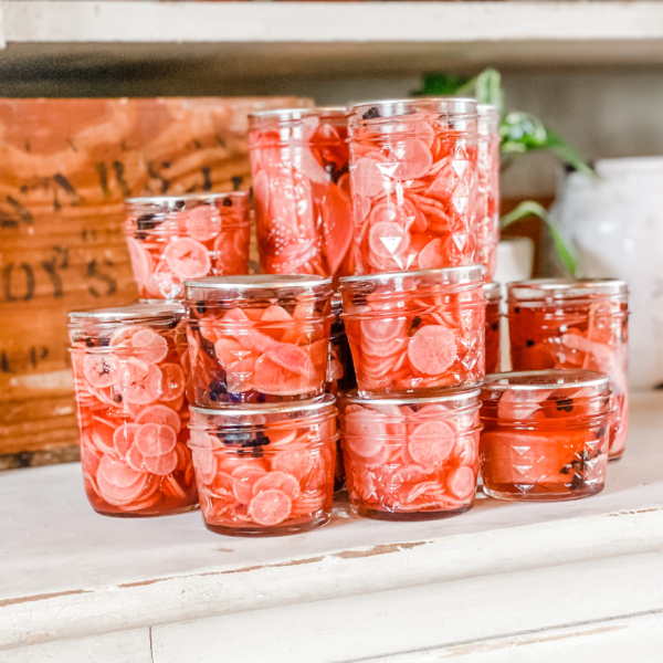 Canning Honey Pickled Radishes - Roots & Boots