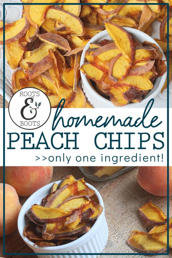 Make Your Own Dehydrated Peach Chips - Roots & Boots