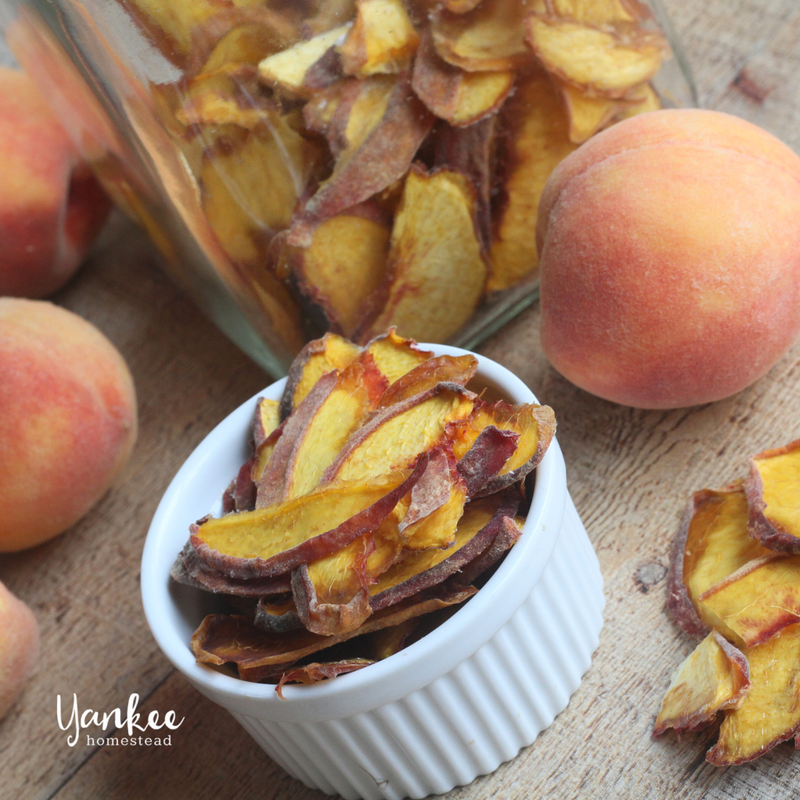 How to Make Dehydrated Peach Chips | Yankee Homestead - Roots & Boots