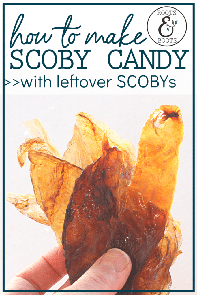 How to Make SCOBY Candy - Roots & Boots