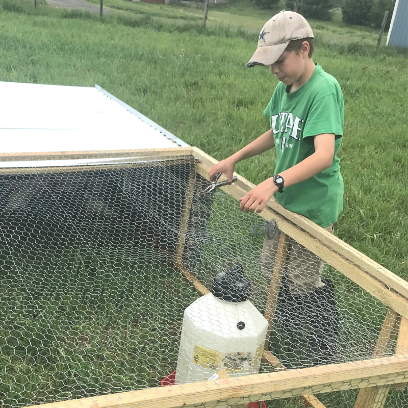 How to Raise Pastured Poultry, Part 2: DIY Chicken Tractor - Roots & Boots