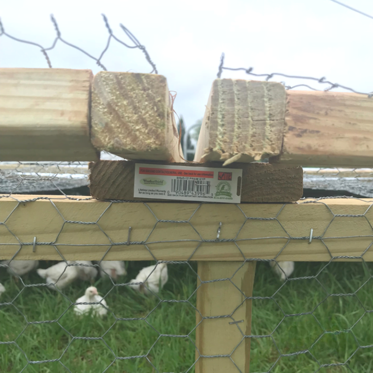 How to Raise Pastured Poultry, Part 2: DIY Chicken Tractor - Roots & Boots
