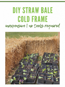 How to Make a Straw Bale Cold Frame - Roots & Boots