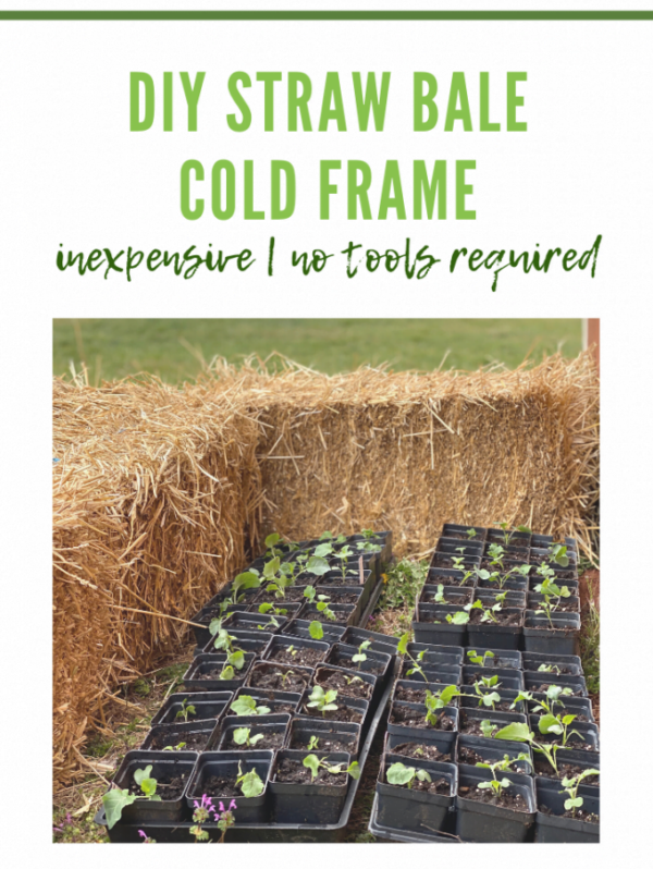 How to Make a Straw Bale Cold Frame - Roots & Boots