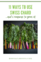 11 Ways to Use Swiss Chard - Roots & Boots