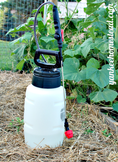 Easy Garden Spray with Essential Oils - Roots & Boots