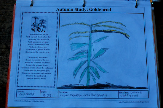 Goldenrod notebook page - Roots & Boots