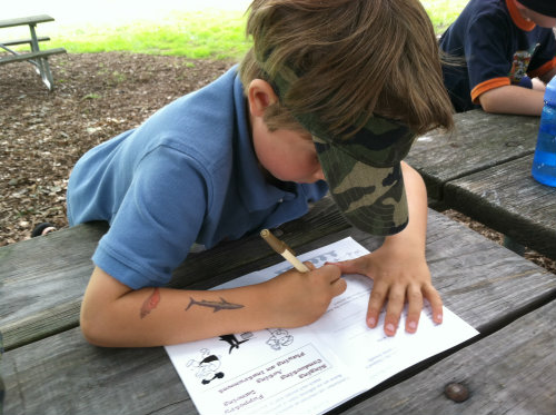 Junior Ranger Activity Book - Roots & Boots