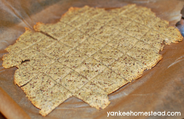 Yankee Homestead - Roots & Boots