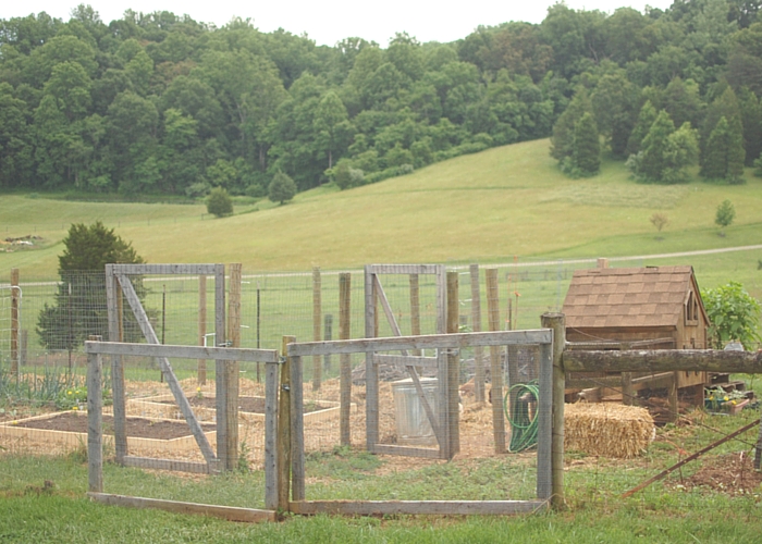 How to Build a Chicken Run - Roots & Boots