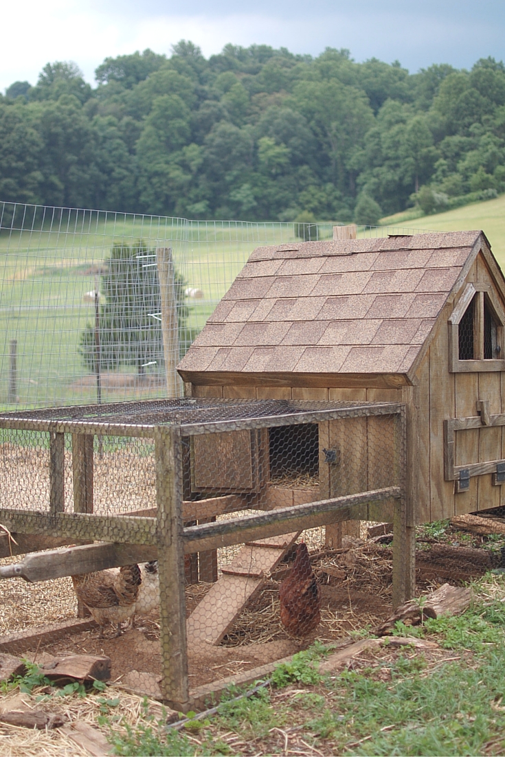 How to Build a Chicken Run - Roots & Boots
