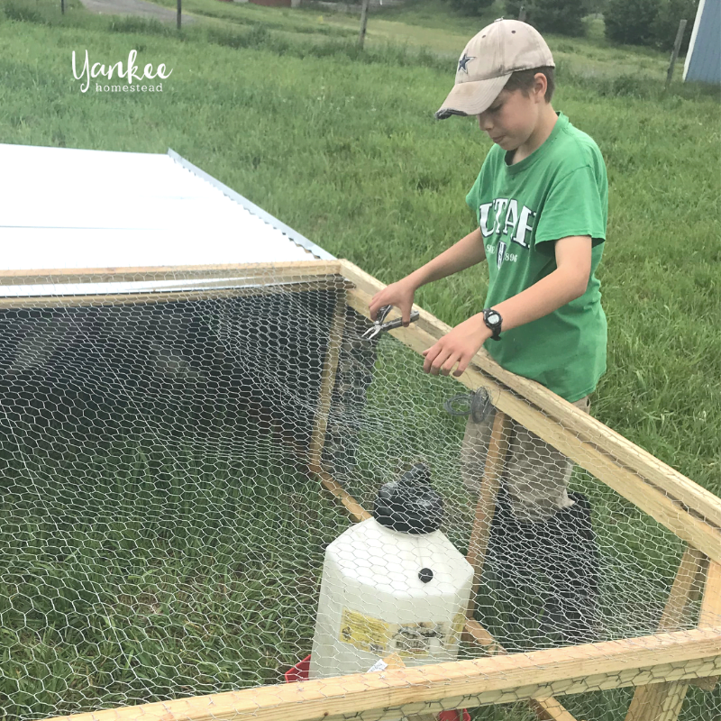 chicken-wire-lid - Roots & Boots