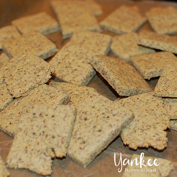 Easy Homemade Crackers - Roots & Boots