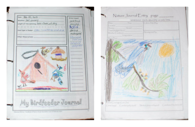 nature journal bird pages - Roots & Boots