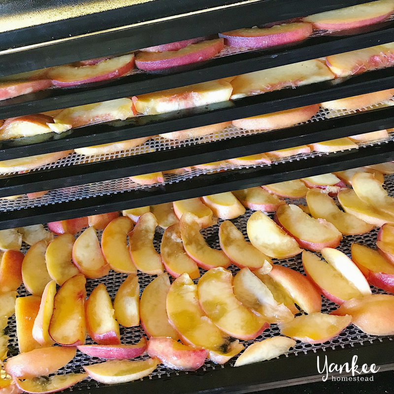 How to Make Dehydrated Peach Chips - Roots & Boots