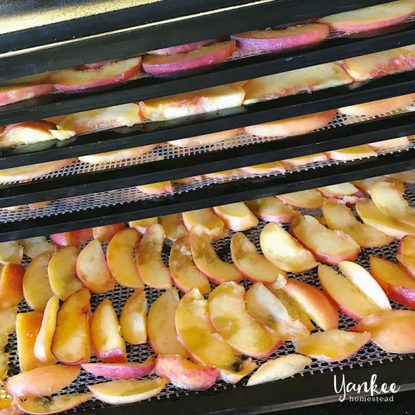 peach-chips-6 - Roots & Boots