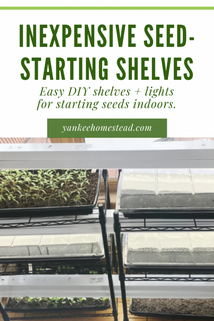 How to Create a Simple Seed Starting System - Roots & Boots