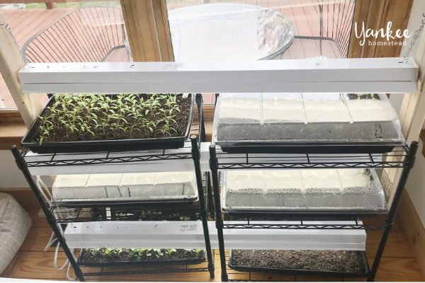 All Roots Seed Starting System