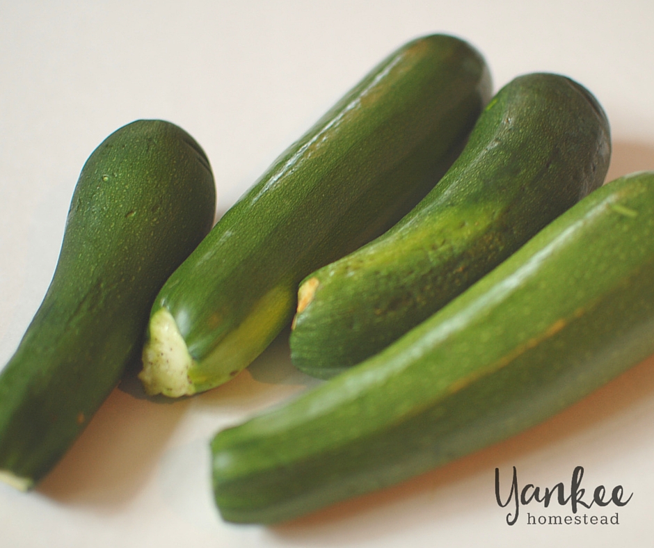 zucchini - Roots & Boots