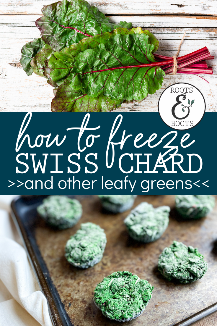 How to Freeze Swiss Chard and Other Leafy Greens - Roots & Boots