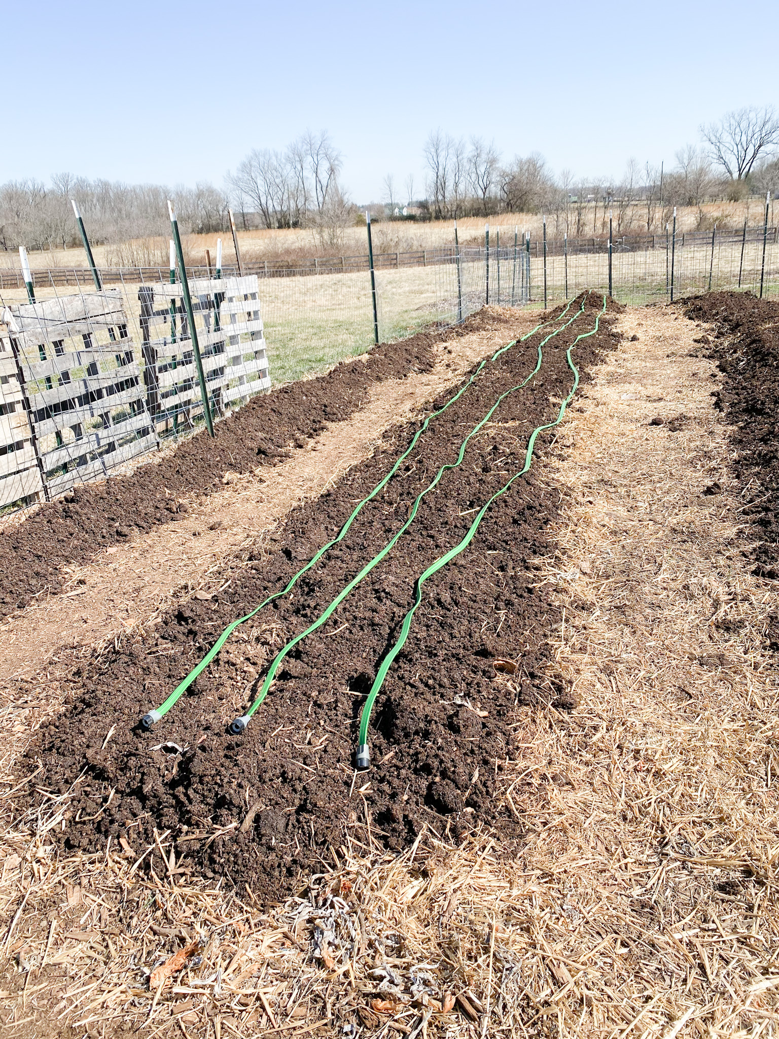 The Best Way to Keep Your Vegetable Garden Watered - Roots & Boots