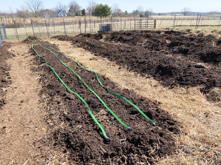 The Best Way to Keep Your Vegetable Garden Watered - Roots & Boots