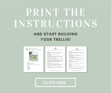 How to Build a Raspberry Trellis - Roots & Boots