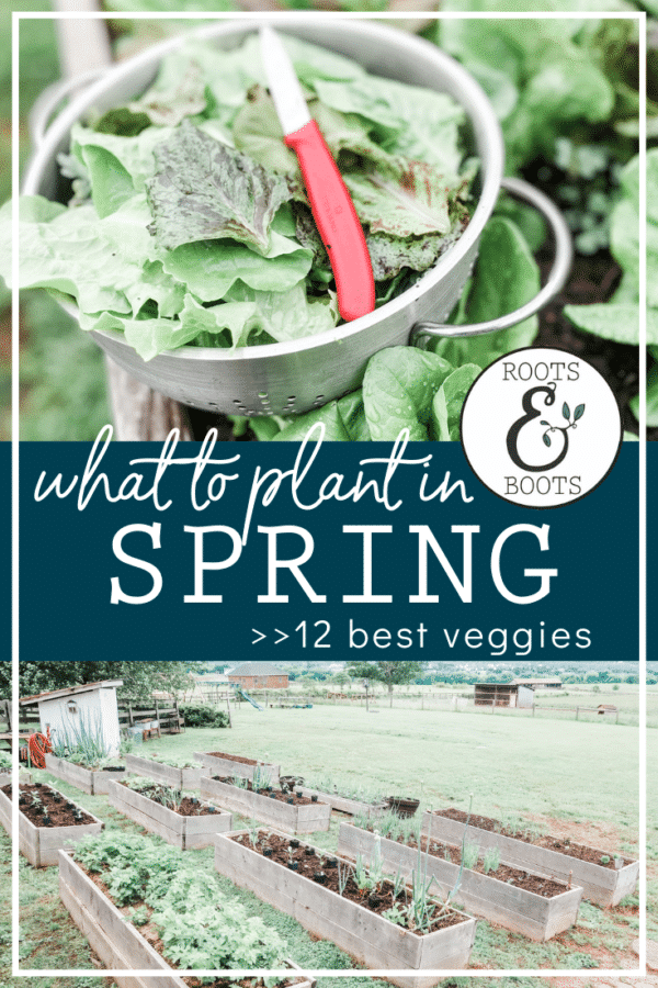 12 Best Veggies for Your Spring Garden - Roots & Boots