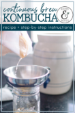 How to Start Continuous Brew Kombucha - Roots & Boots