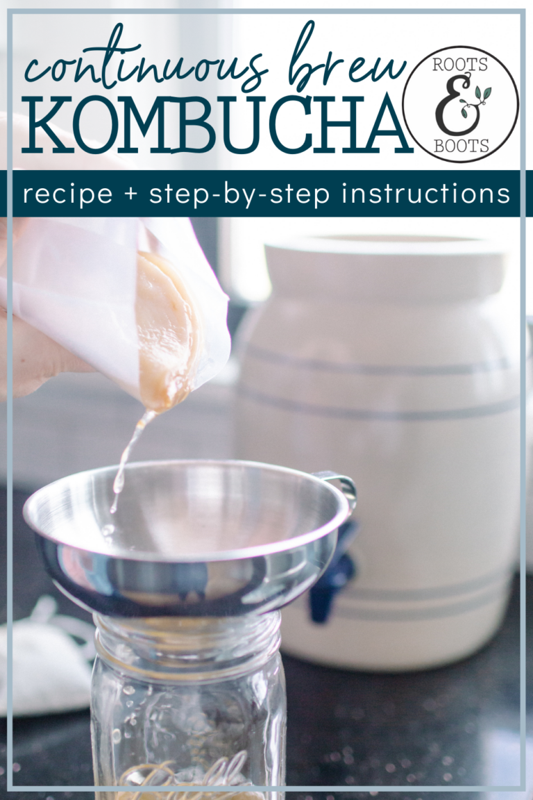 How to Start Continuous Brew Kombucha - Roots & Boots
