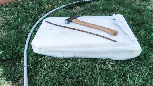 How to Grow Organic Pest-Free Broccoli - Roots & Boots