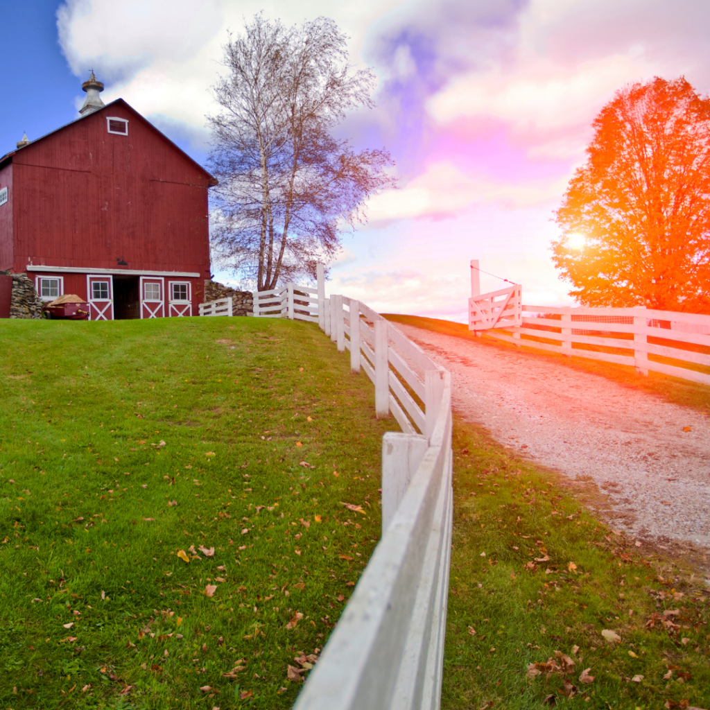 Farming Documentaries - Roots & Boots