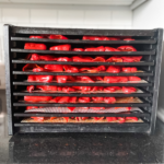 How to Make Paprika Powder - Roots & Boots