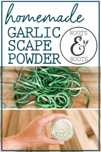 Homemade Garlic Scape Powder (Dehydrated Garlic Scapes) - Roots & Boots