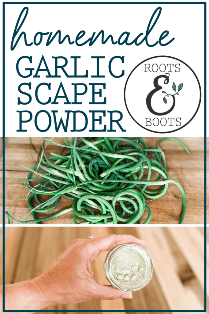 Homemade Garlic Scape Powder (Dehydrated Garlic Scapes) - Roots & Boots