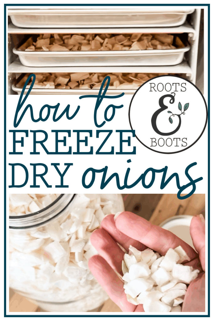 How to Freeze Dry Onions - Roots & Boots